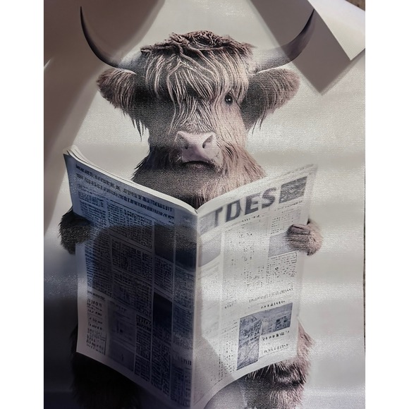 Amazon Basics | Art | New Highland Cow Newspaper Art Print Funny ...